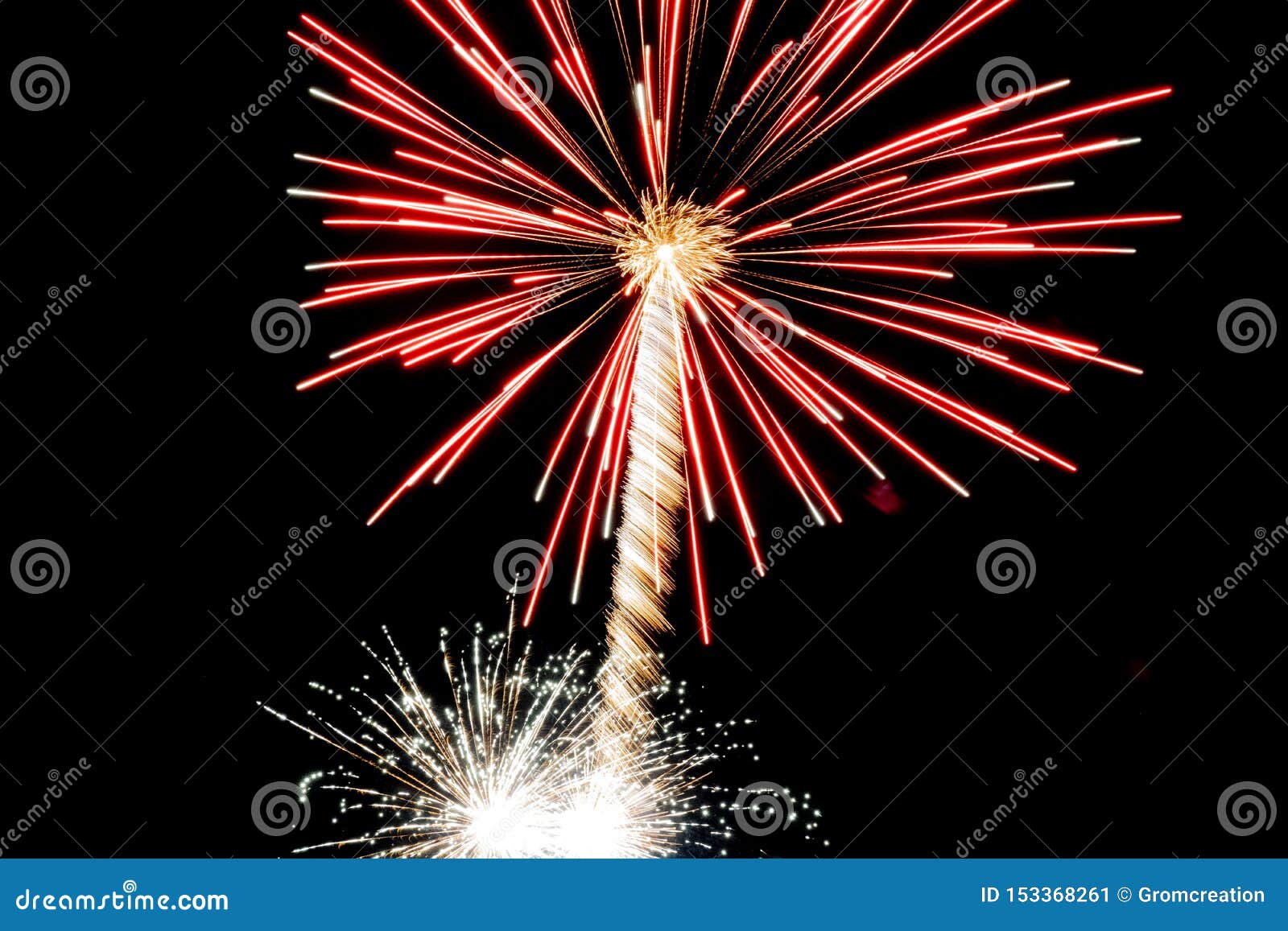 Red and White Pyrotechnic Fireworks Palm Tree Effect in the Night Stock ...