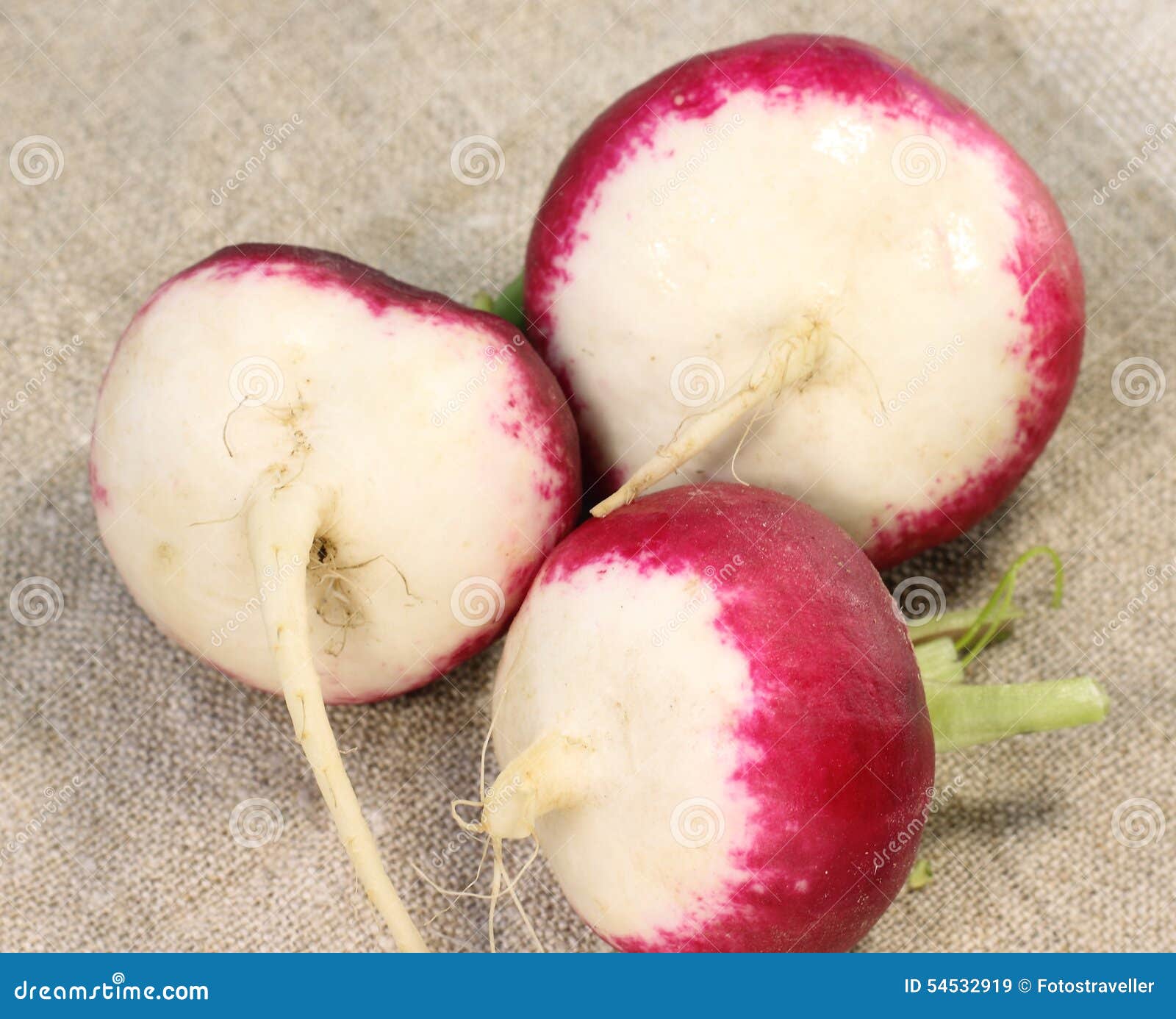 Red and white radish stock image. Image of cooking, seasons - 54532919