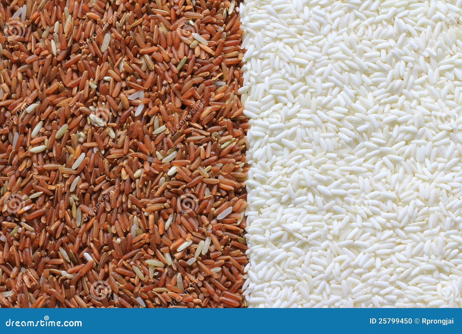 Red and white rice grains stock photo. Image of culture - 25799450