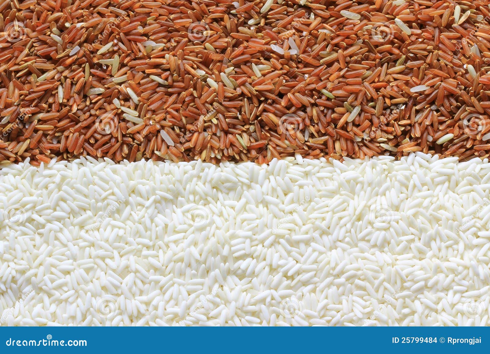 Red and white rice grains stock photo. Image of healthy - 25799484
