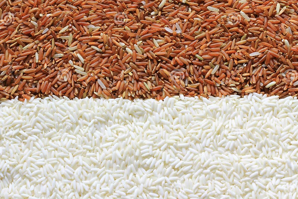 Red and white rice grains stock photo. Image of healthy - 25799484