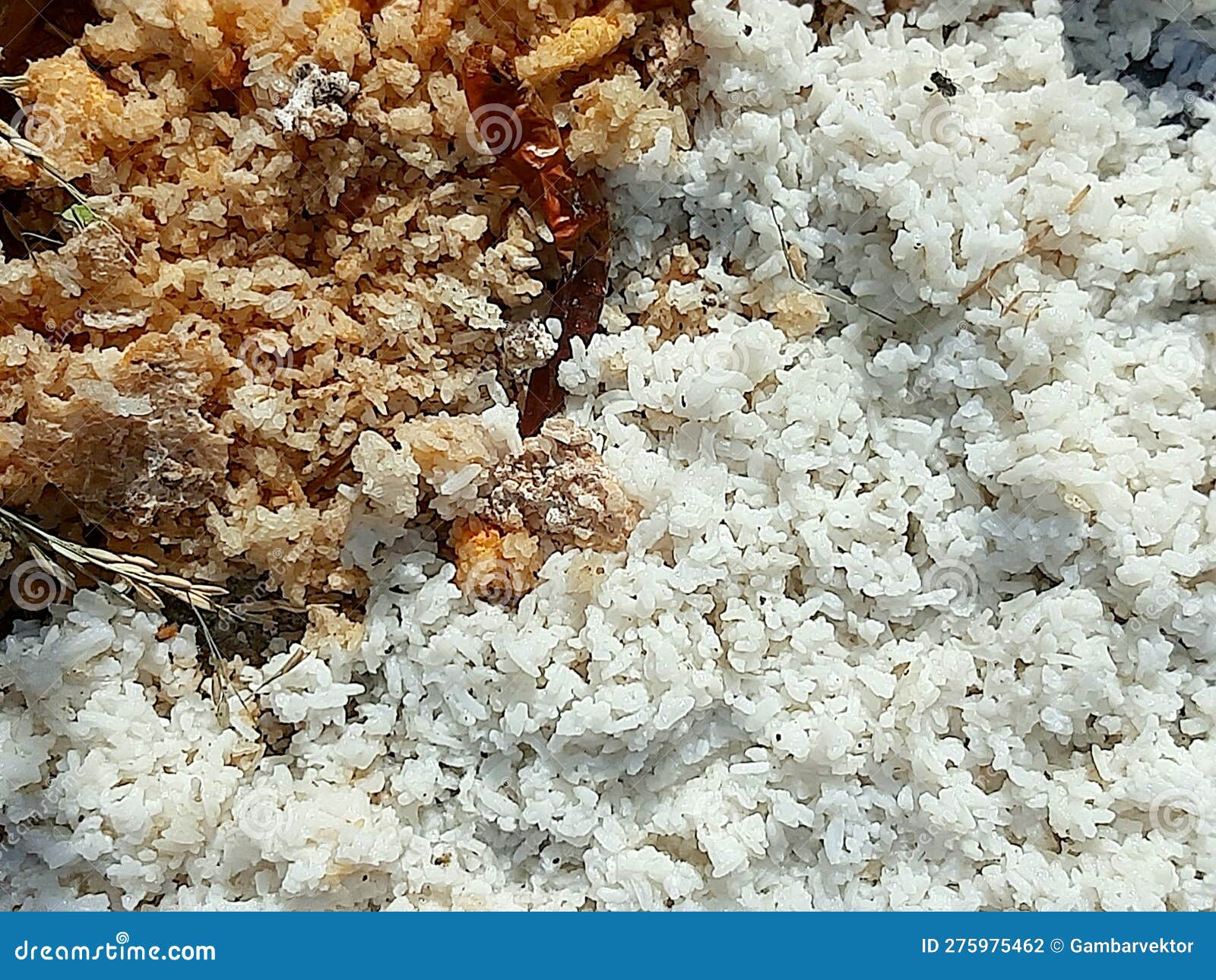 Red and White Rice from Indonesia Stock Photo - Image of bird, rice ...