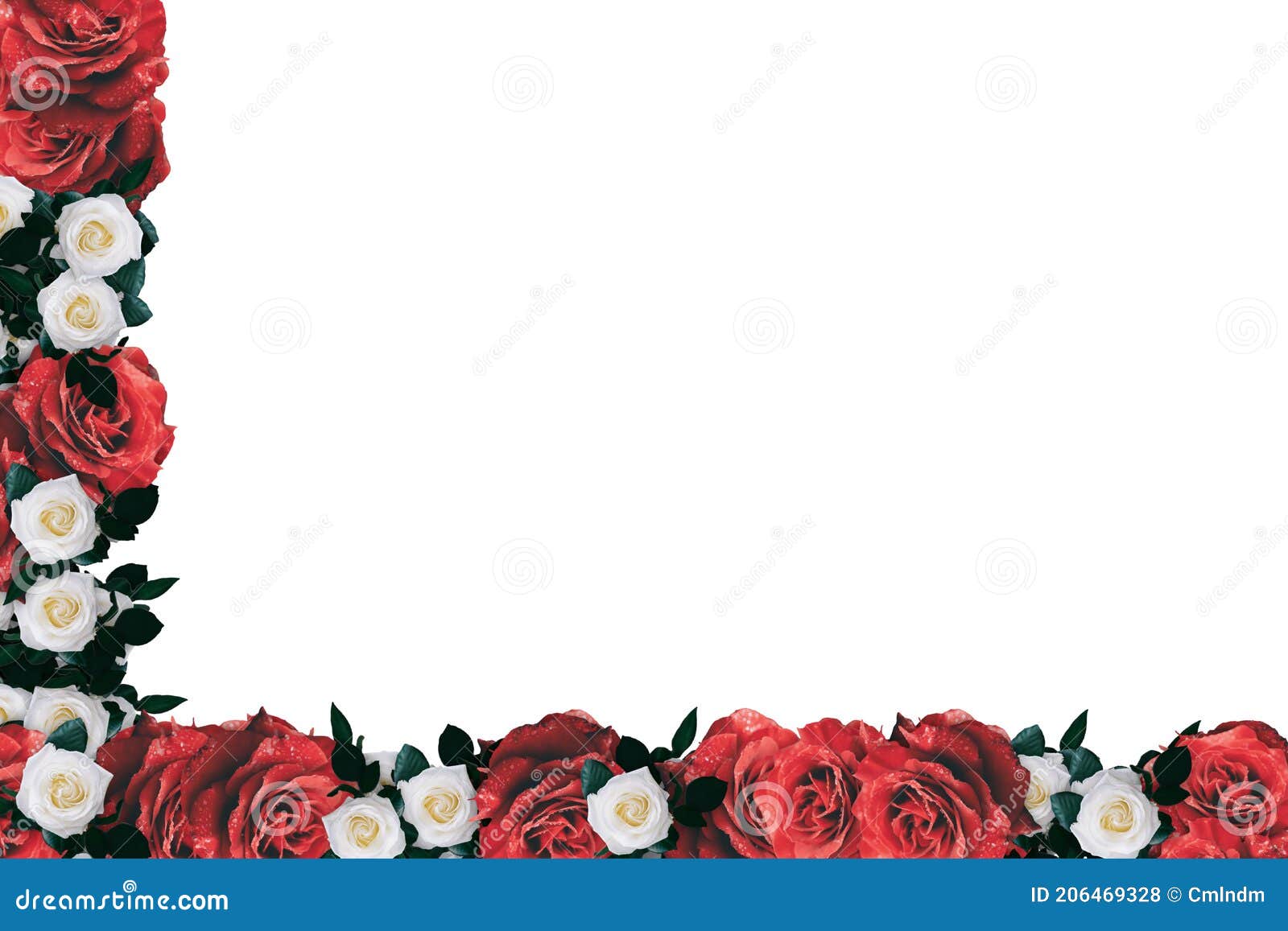 Red and White Rose Border Frame Stock Illustration - Illustration of ...