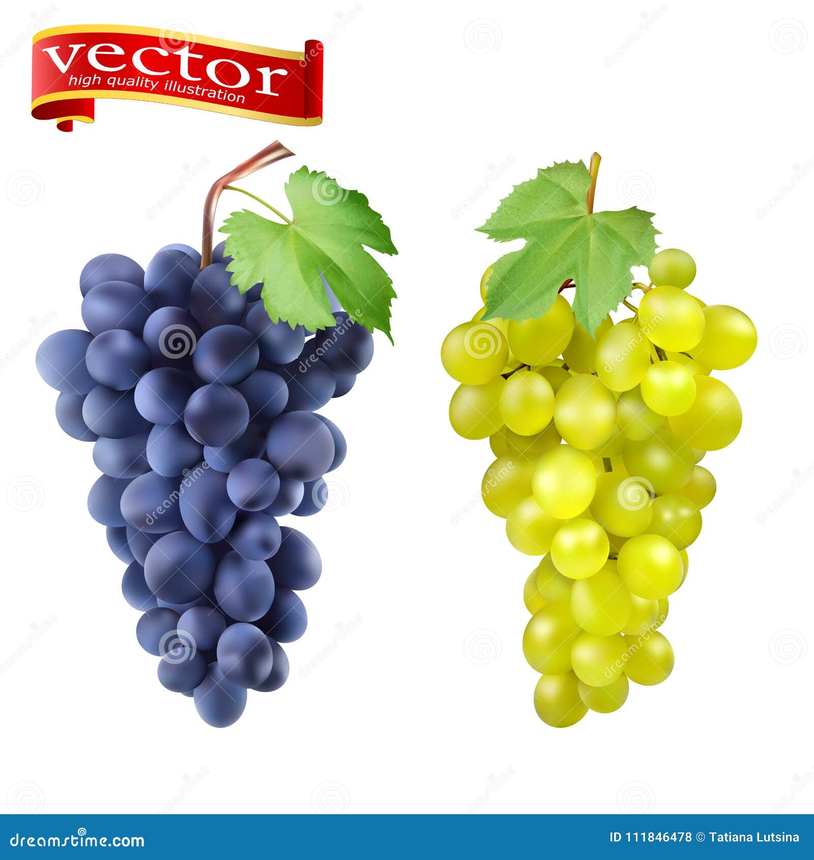 Cluster Of Grapes Red And White 3d Vector Set For Design. Bunch Of ...