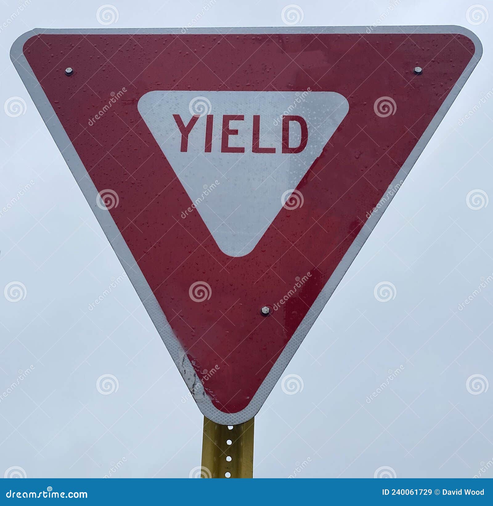 Red and White Triangular Yield Sign Stock Image - Image of sign ...