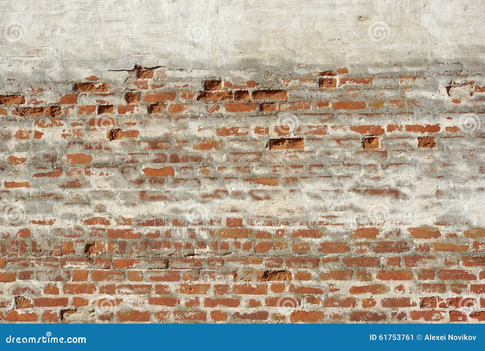 Damaged Plaster Wall From Creeping Roots Texture Stock Photography ...