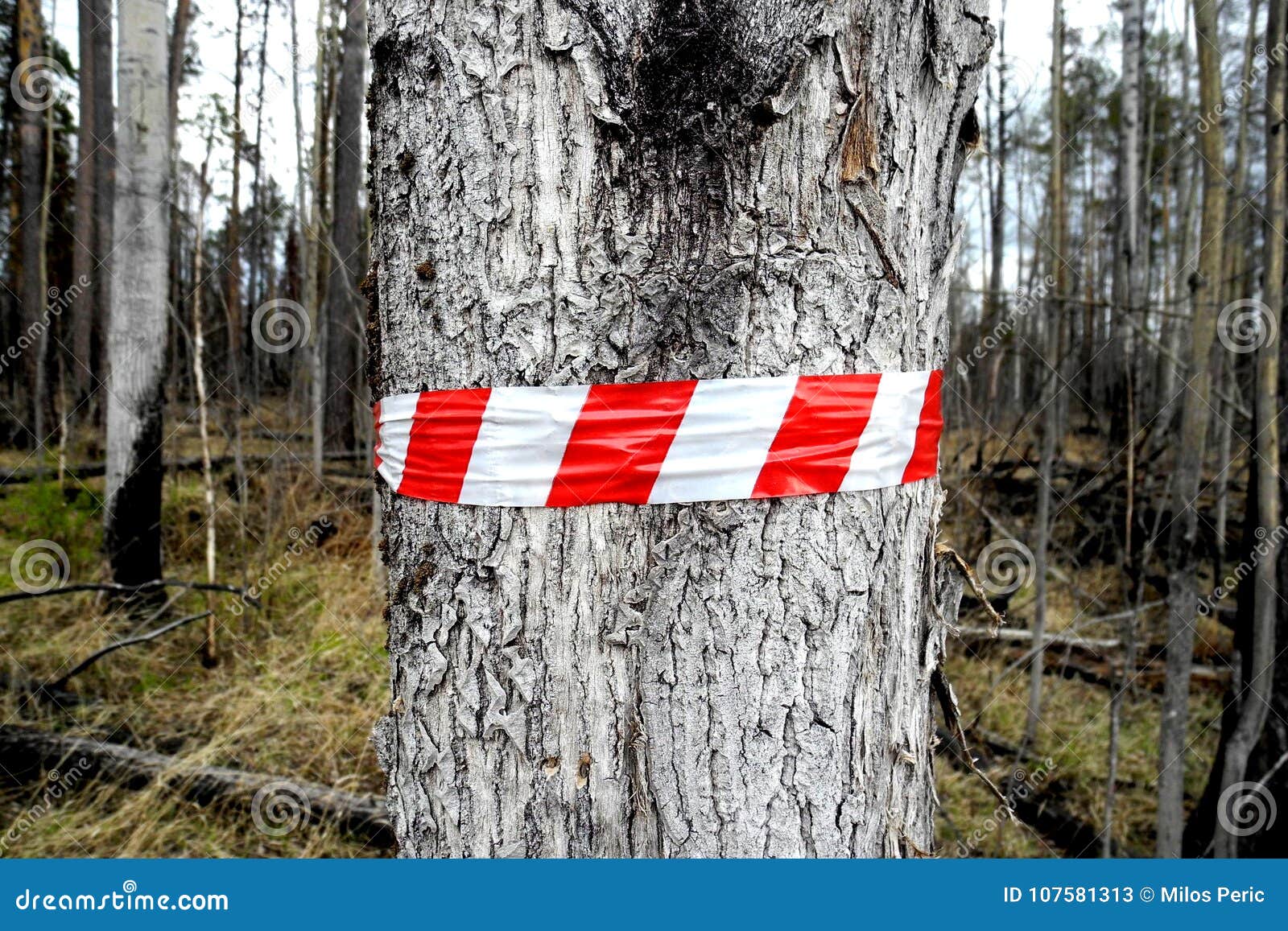 Red and white warning sign stock image. Image of plastic - 107581313