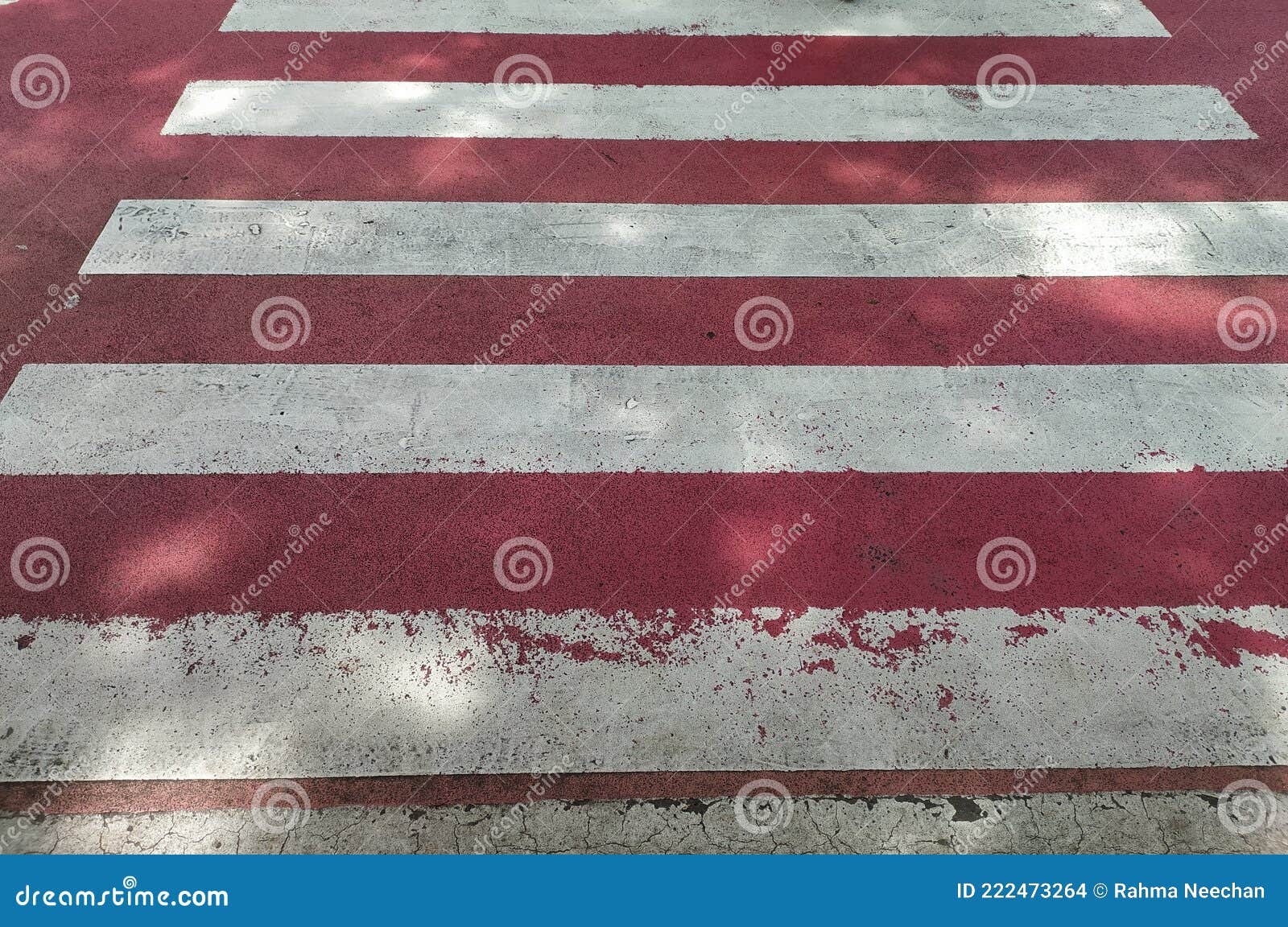 Red and white zebra cross stock photo. Image of design - 222473264