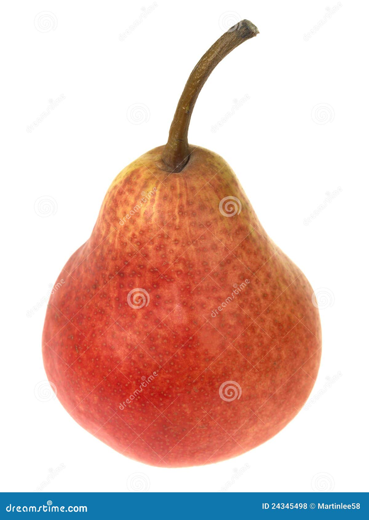 Red Williams Pear stock photo. Image of fruity, agriculture - 24345498
