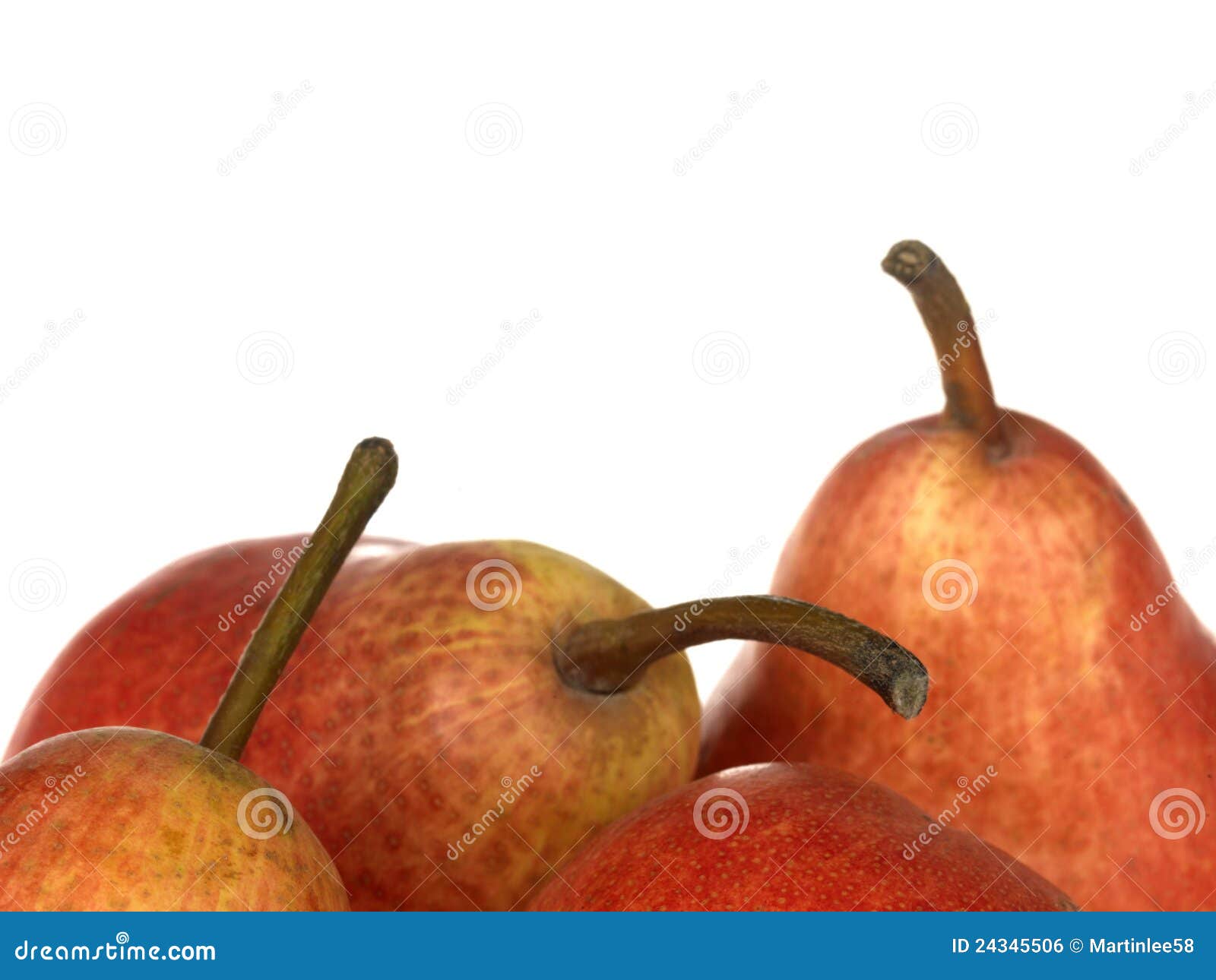Red Williams Pear stock photo. Image of eating, fresh - 24345506