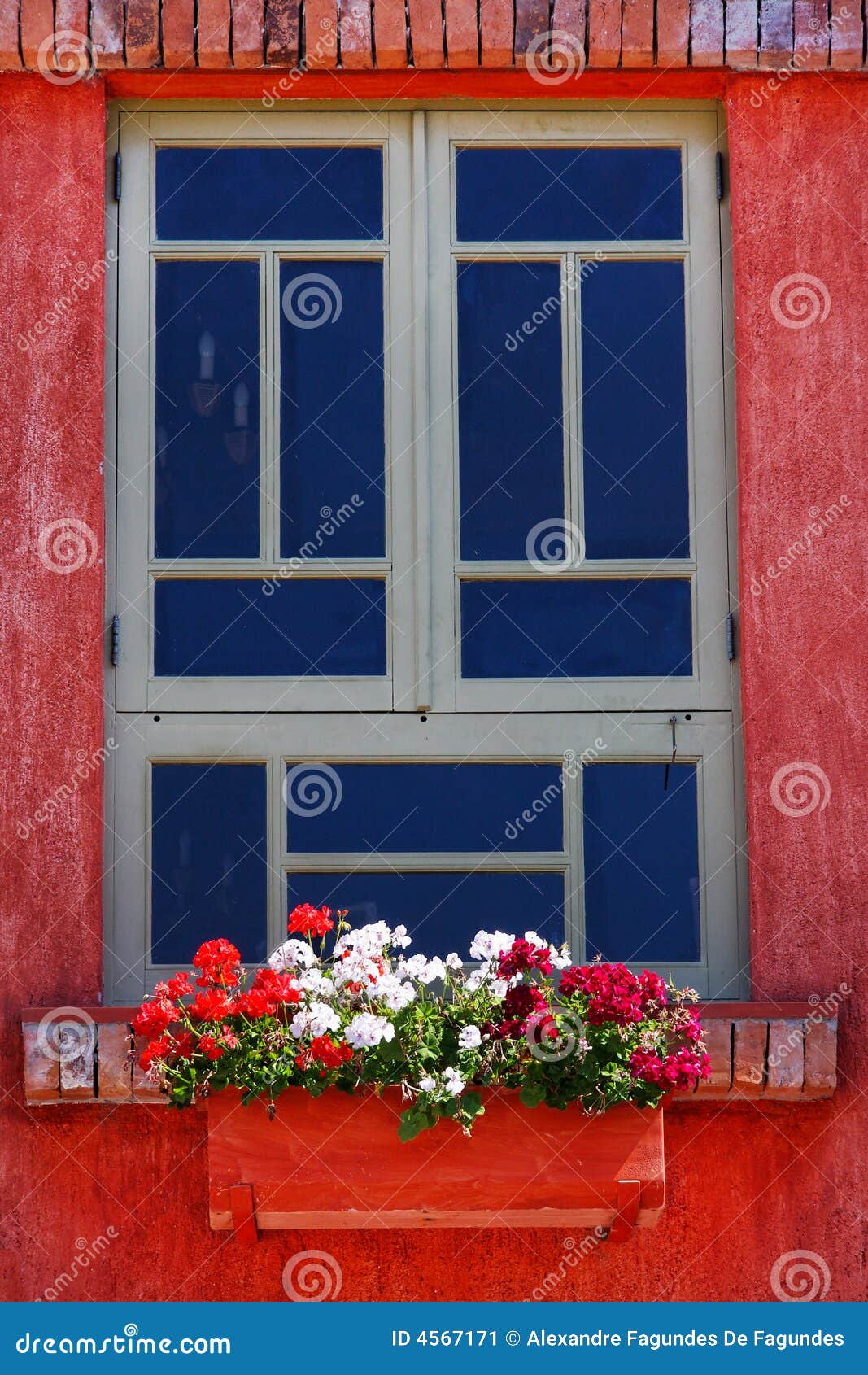 Red Window with Flowers stock image. Image of white, plants - 4567171
