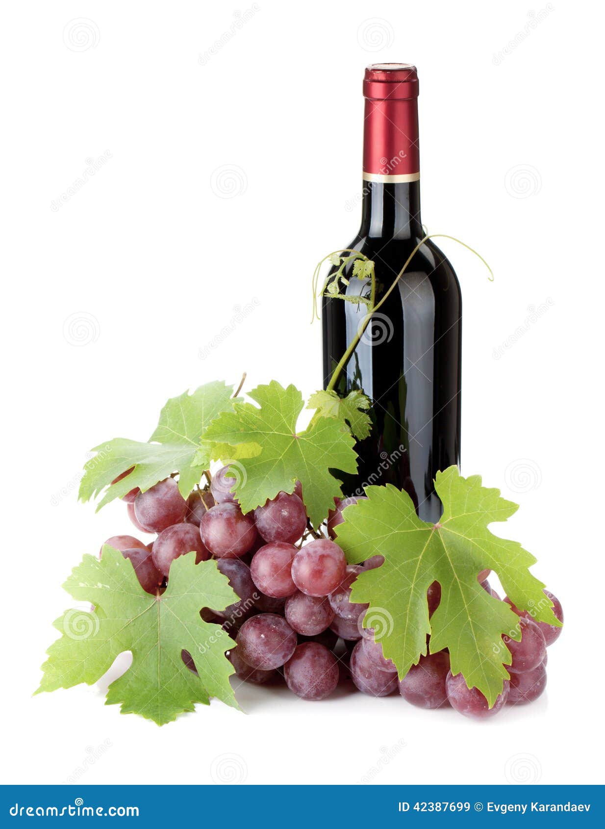 Red wine bottle and grapes stock image. Image of merlot - 42387699