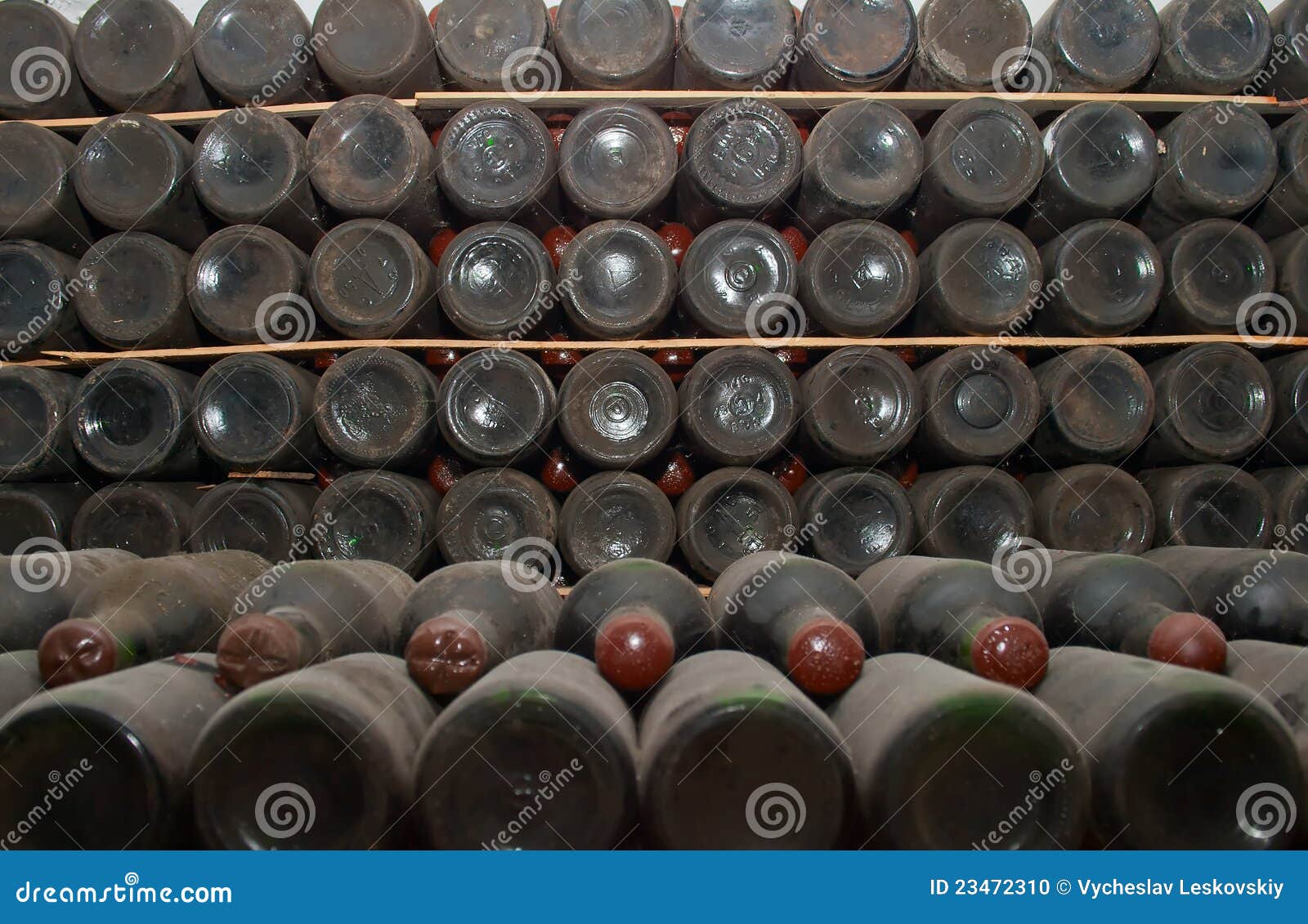 Red Wine Bottles in a Cellar Stock Photo - Image of dark, grape: 23472310