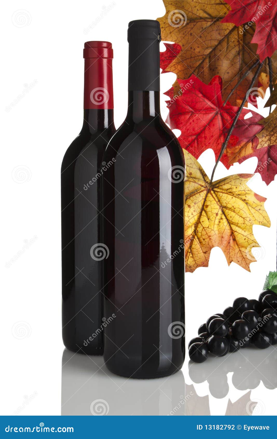Red Wine Bottles, Grapes and Fall Leaves Stock Photo - Image of ...