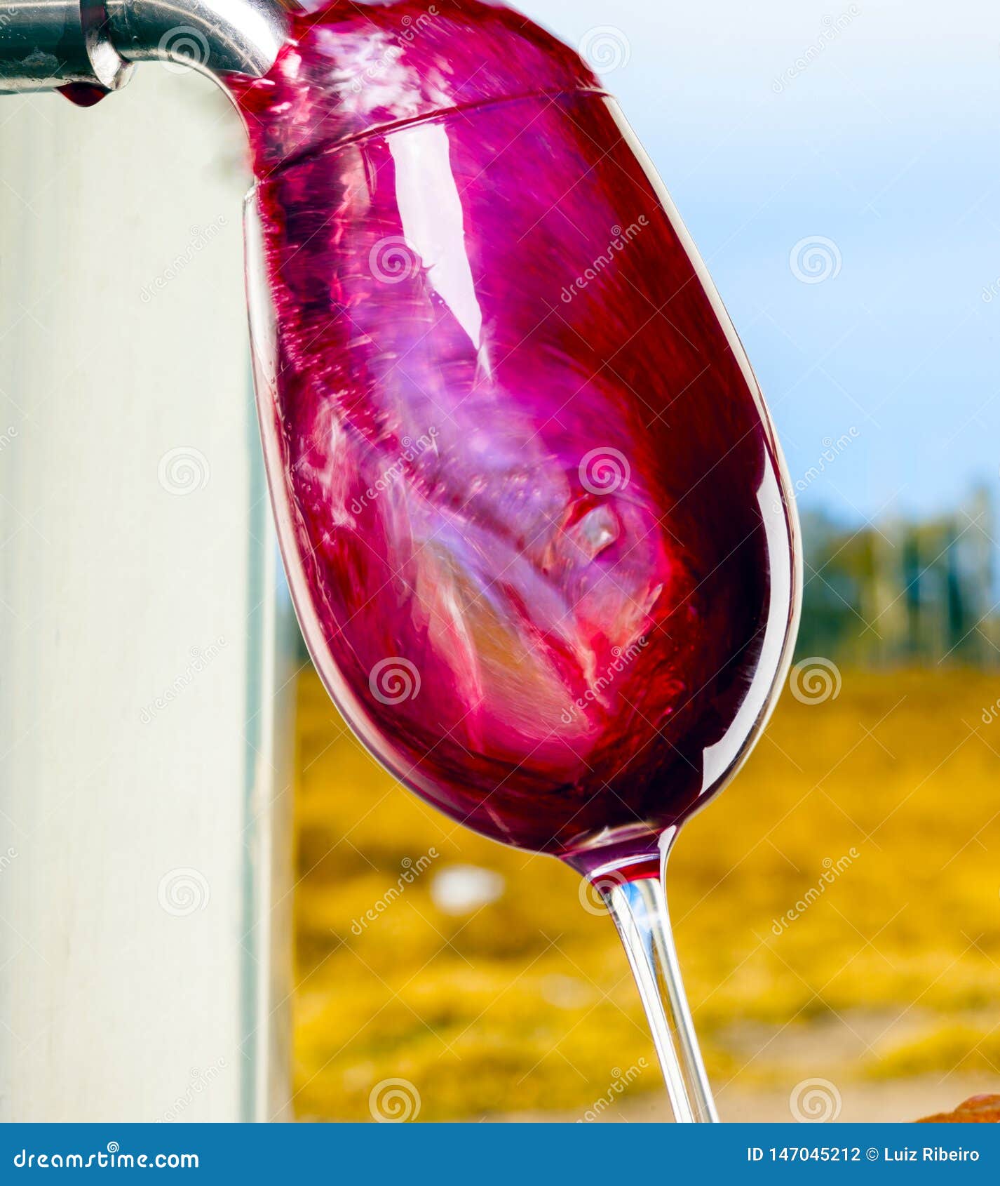 Red wine glass barrel stock photo. Image of gourmet - 147045212