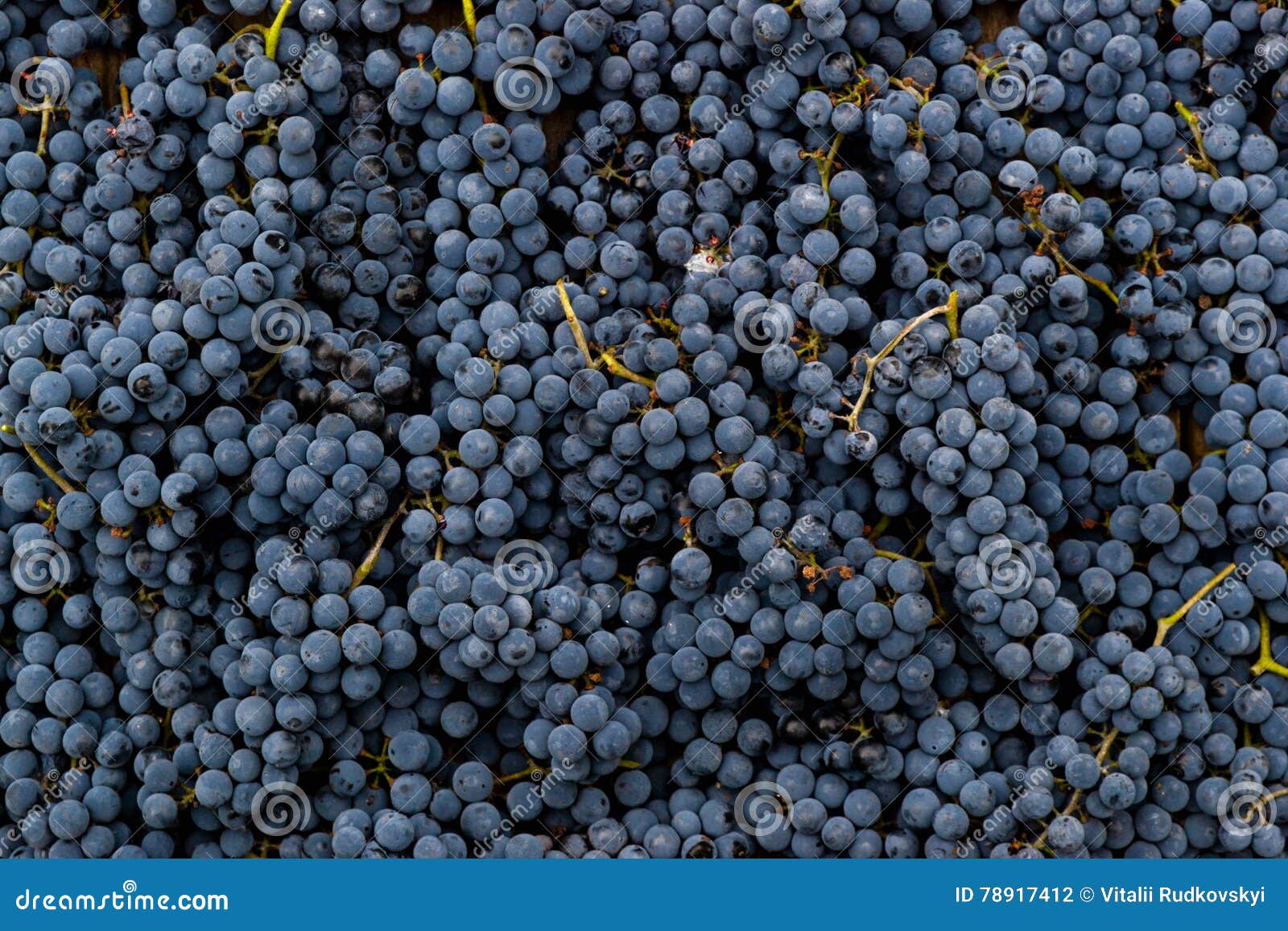 Wine And Grapes On The Table Street In Parga Royalty-Free Stock ...