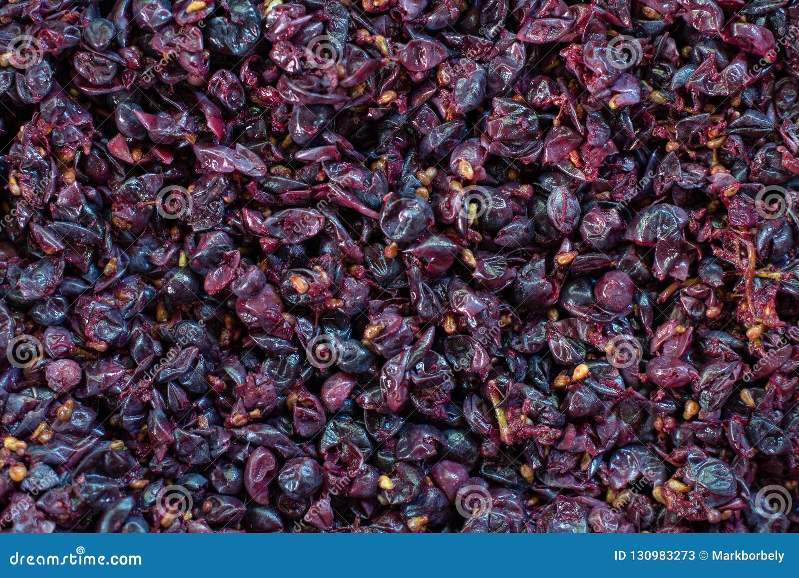 Winemaking. Fermentation of Blue Grape Must. Stock Image - Image of ...