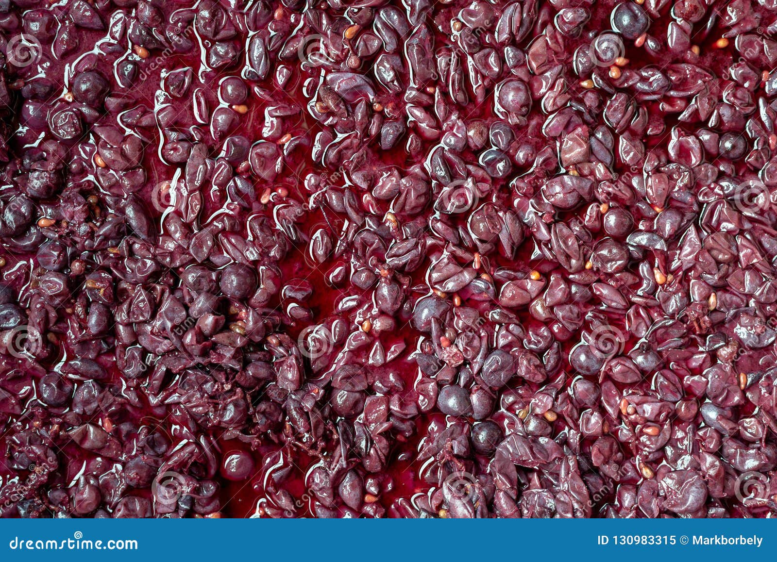 Winemaking. Fermentation of Blue Grape Must. Stock Image - Image of ...