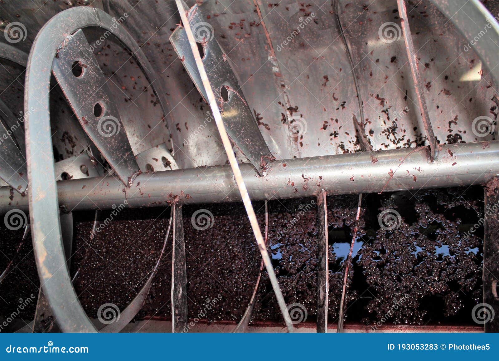 Red Wine Making Process in a Factory Stock Image - Image of gourmet ...