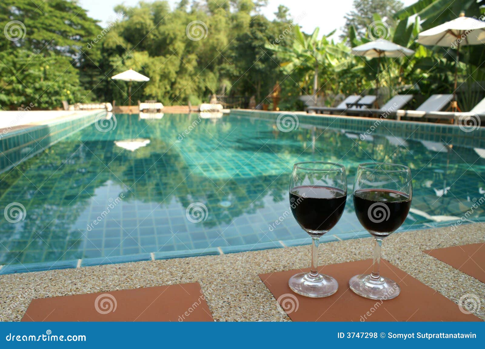 Red wine pool side stock photo. Image of holiday, life - 3747298