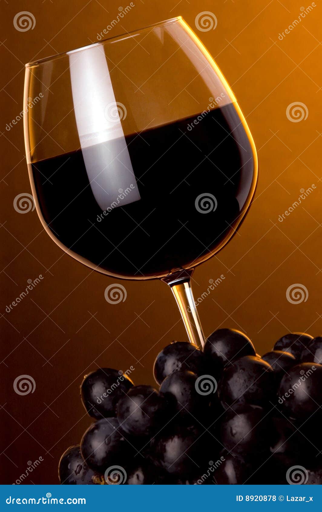 Red wine shot stock photo. Image of glass, winery, cellar - 8920878