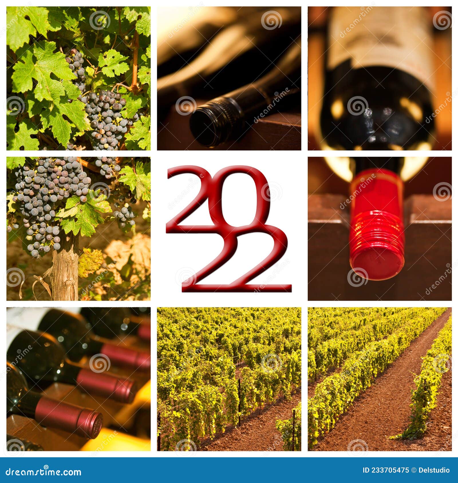 2022 Red Wine Square Photos Collage Card Stock Image - Image of grapes ...