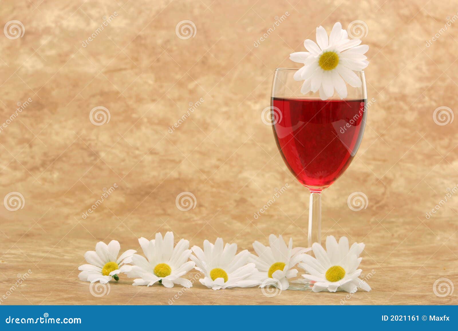 Red wine and white daisies stock image. Image of beverage - 2021161