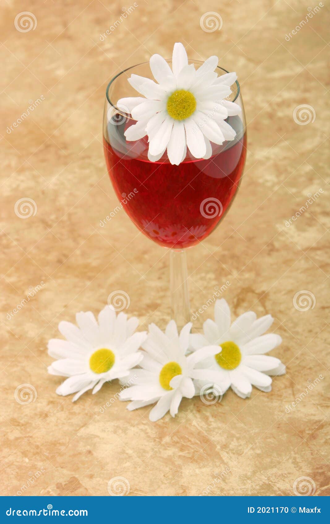 Red wine and white daisies stock photo. Image of merlot - 2021170