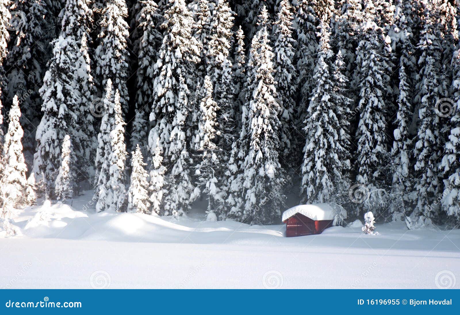 Red winter cabin stock image. Image of outdoor, mystic - 16196955