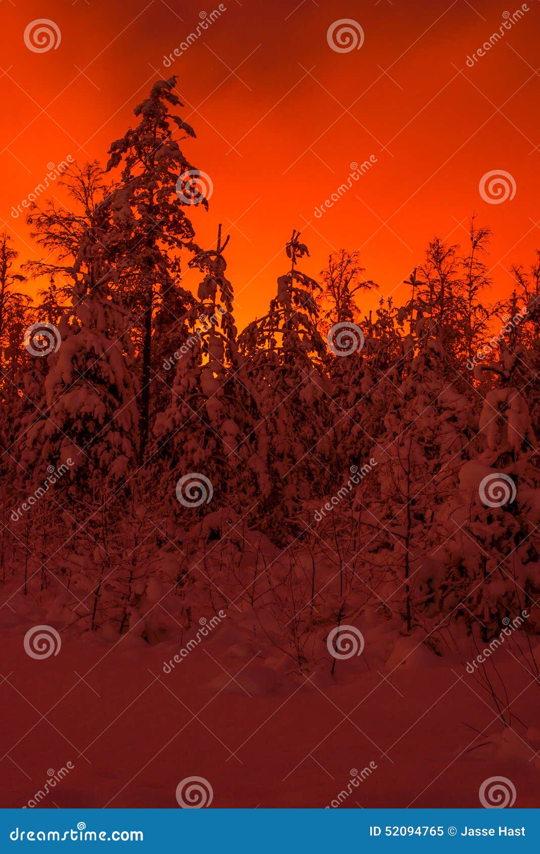 Red winter night stock image. Image of black, dark, light - 52094765