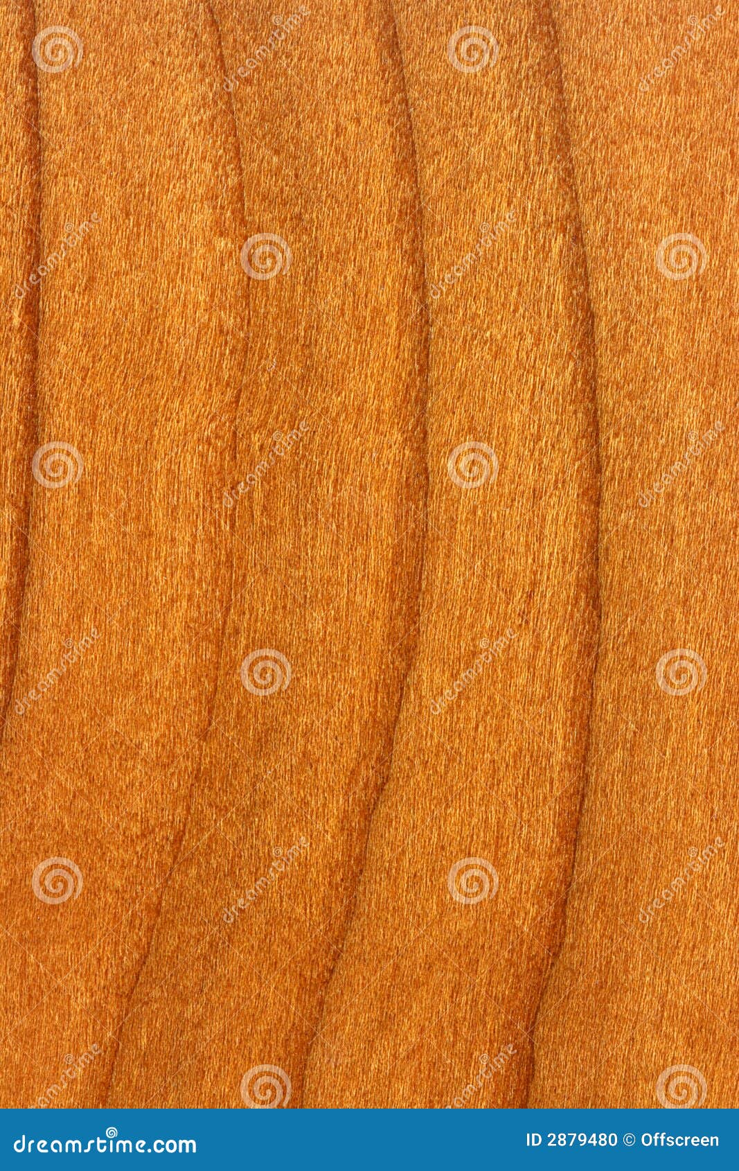 Red wood stock photo. Image of cherry, macro, brown, color - 2879480