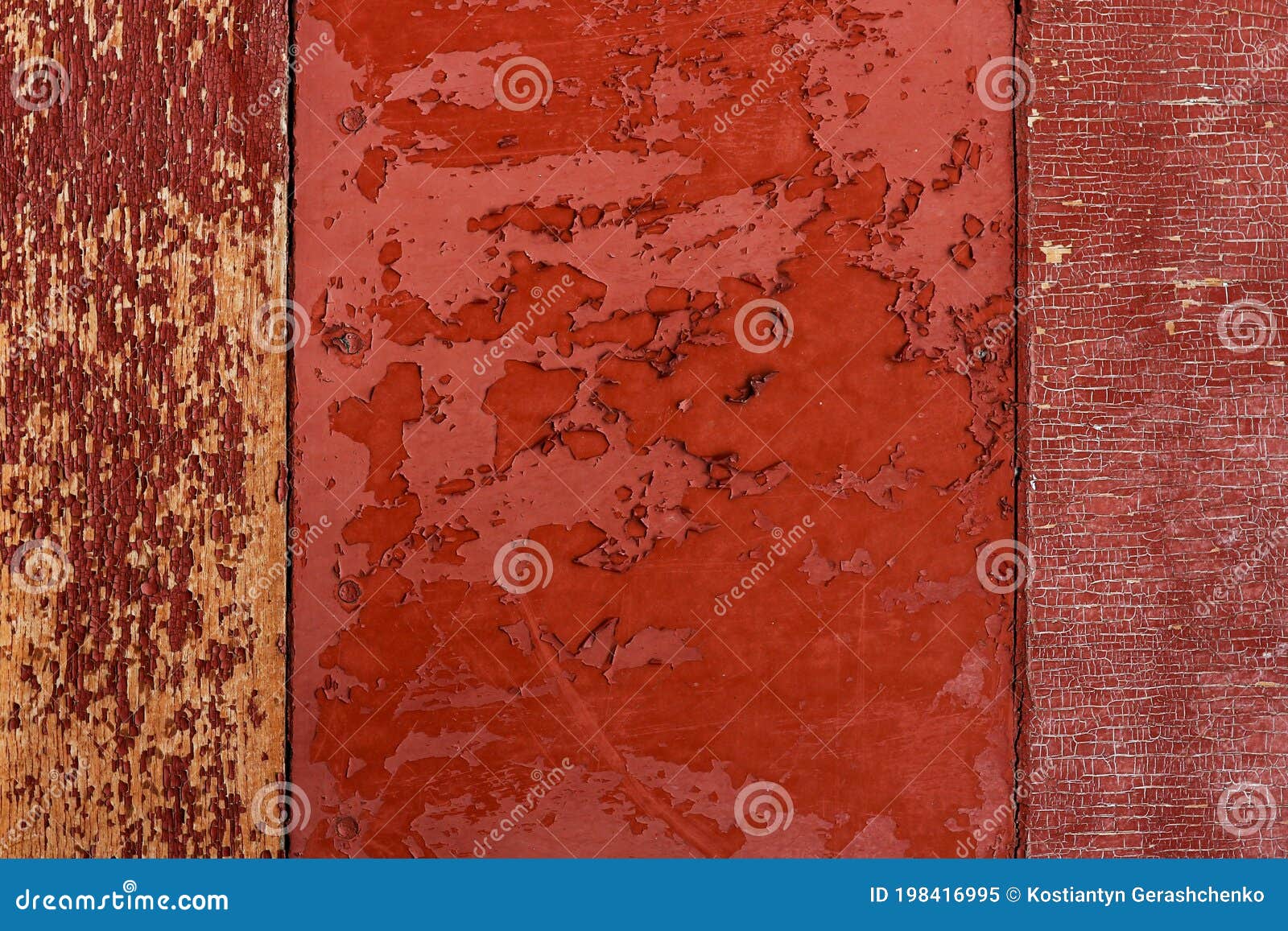 Texture Of Stump Are Tell More Thing That You Can Imagine Royalty-Free ...