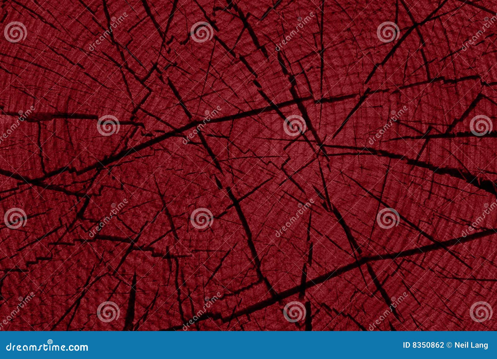 Circular Cross Section Of Gas Cylinder Regulator Stock Image ...