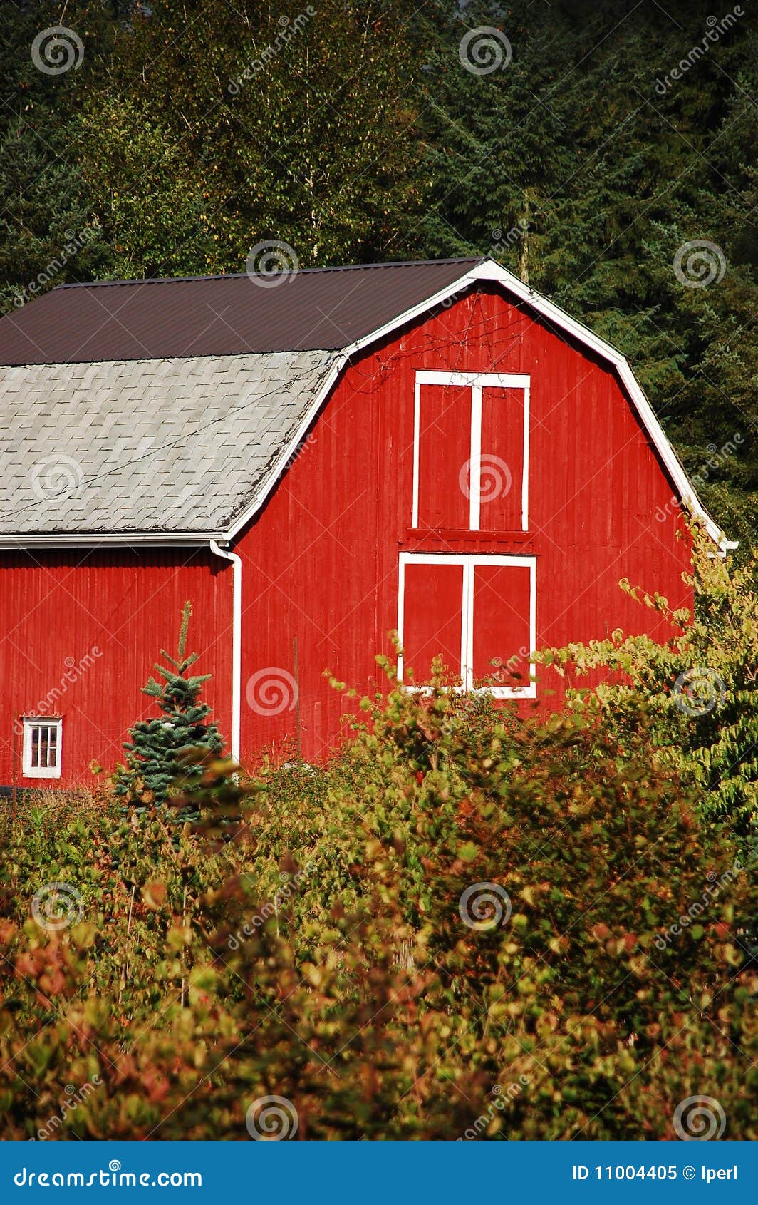 Red wooden barn stock image. Image of architecture, barn - 11004405