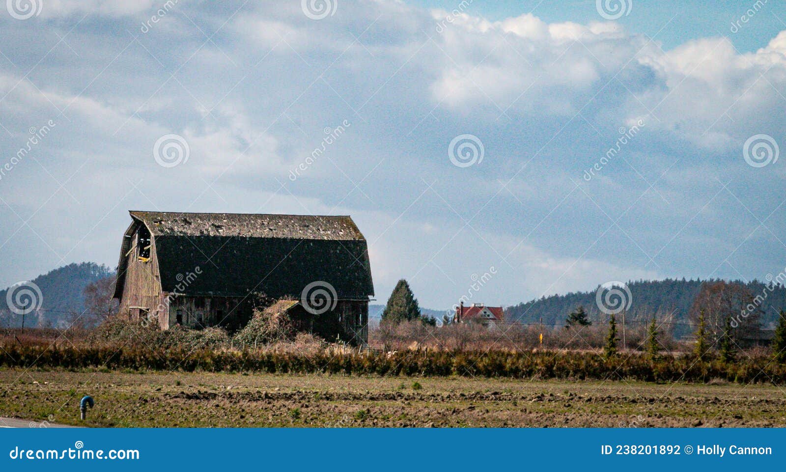 Wooden Barn in a Field in Washington State in the Summer Stock Photo ...