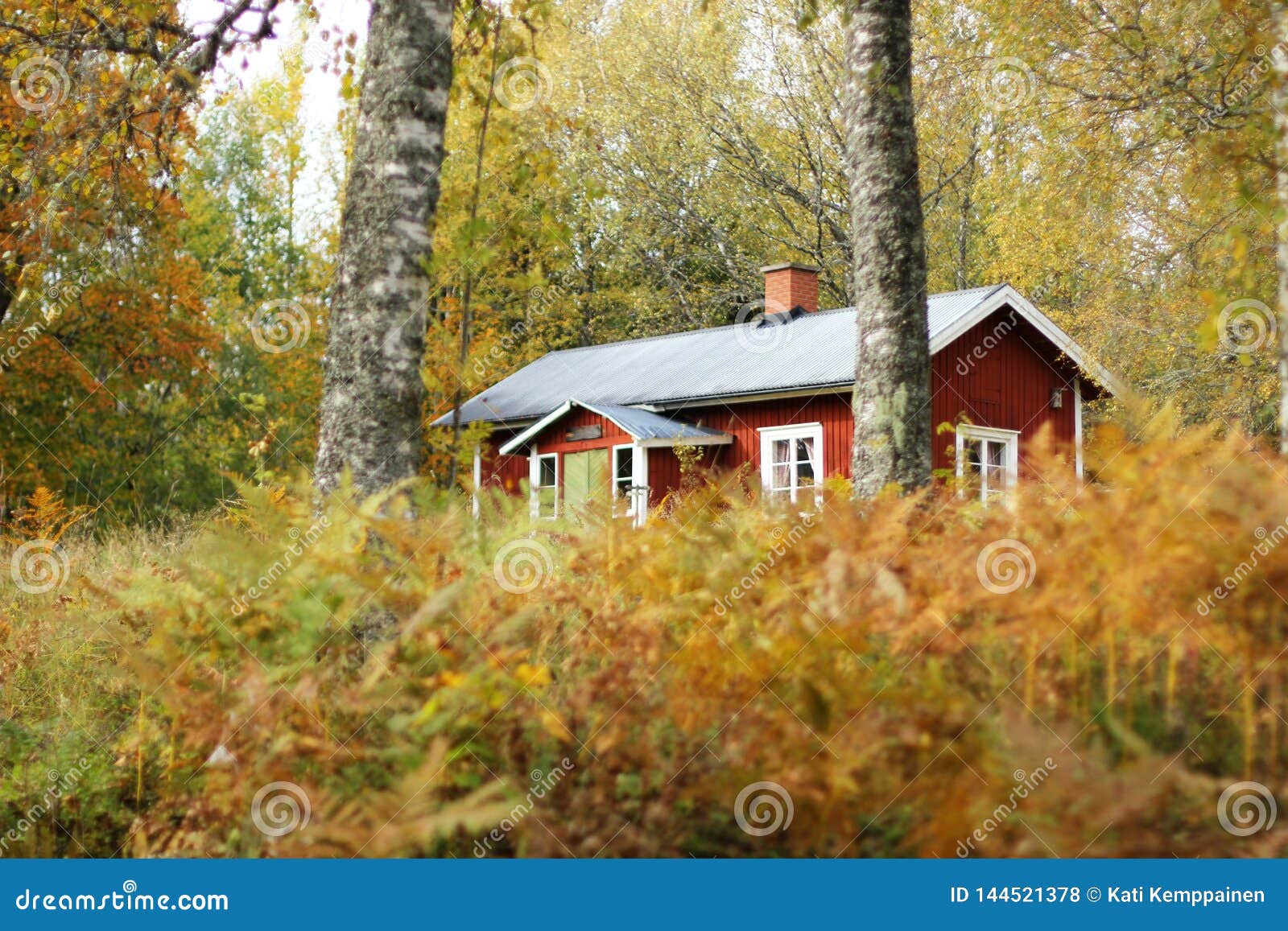 Red wooden house stock photo. Image of cottage, autumn - 144521378