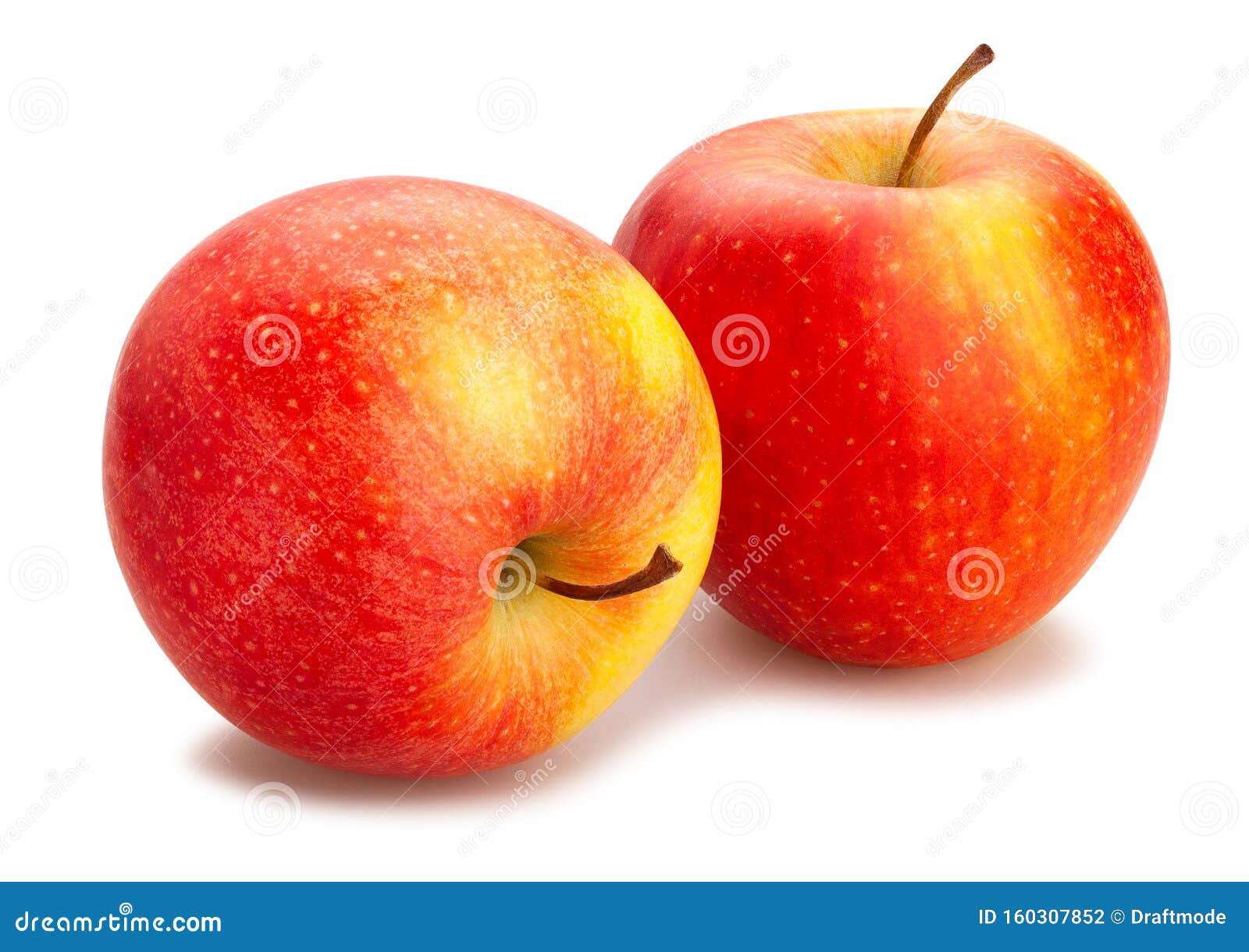Red yellow apples stock photo. Image of vivid, fresh - 160307852