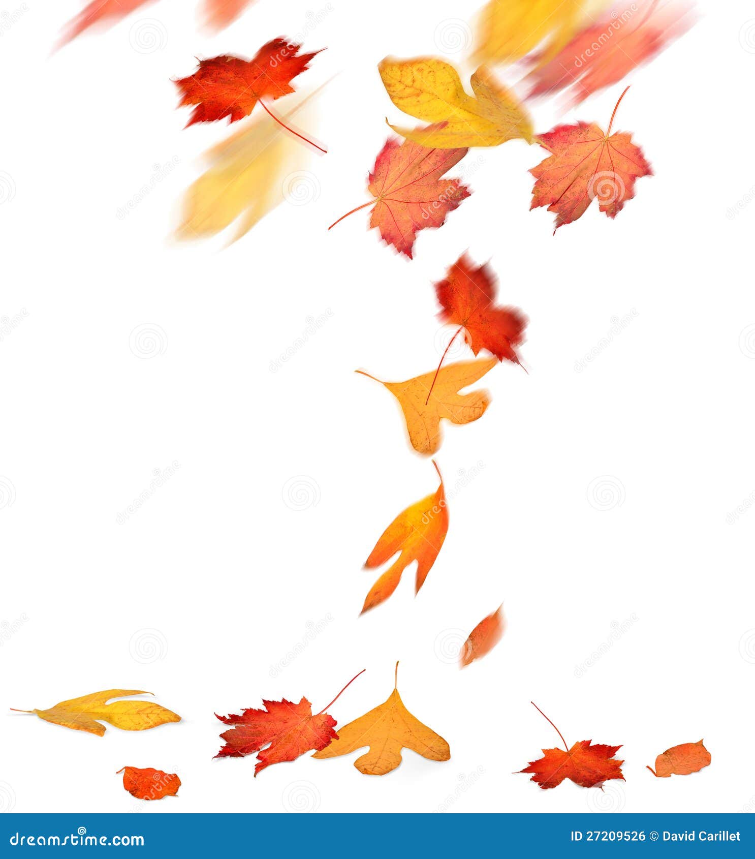 Red and Yellow Autumn Leaves Falling Stock Photo - Image of october ...
