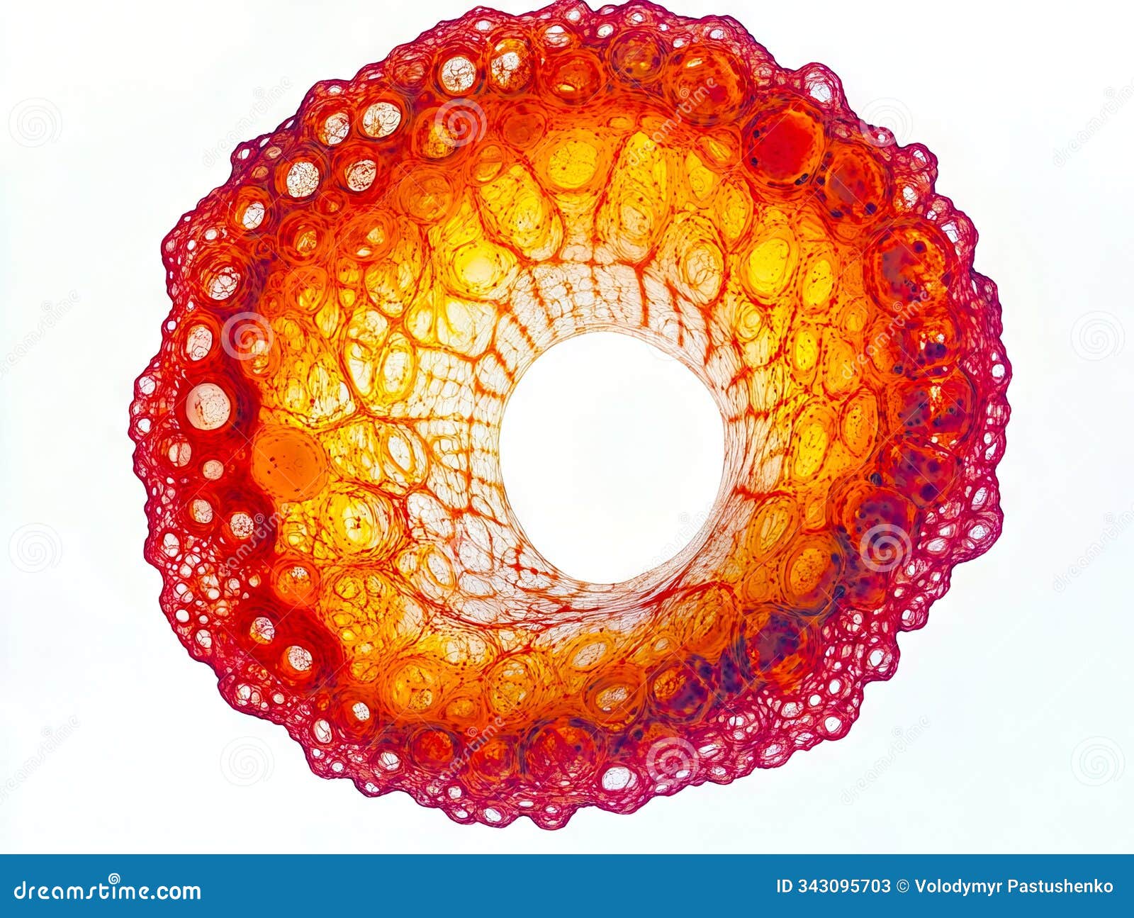 A Red and Yellow Circular Object with a White Background Stock Image ...