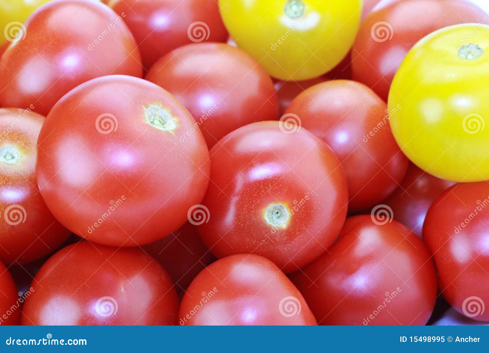 Red and Yellow Cocktail Tomatoes Isolated on White Stock Image - Image ...