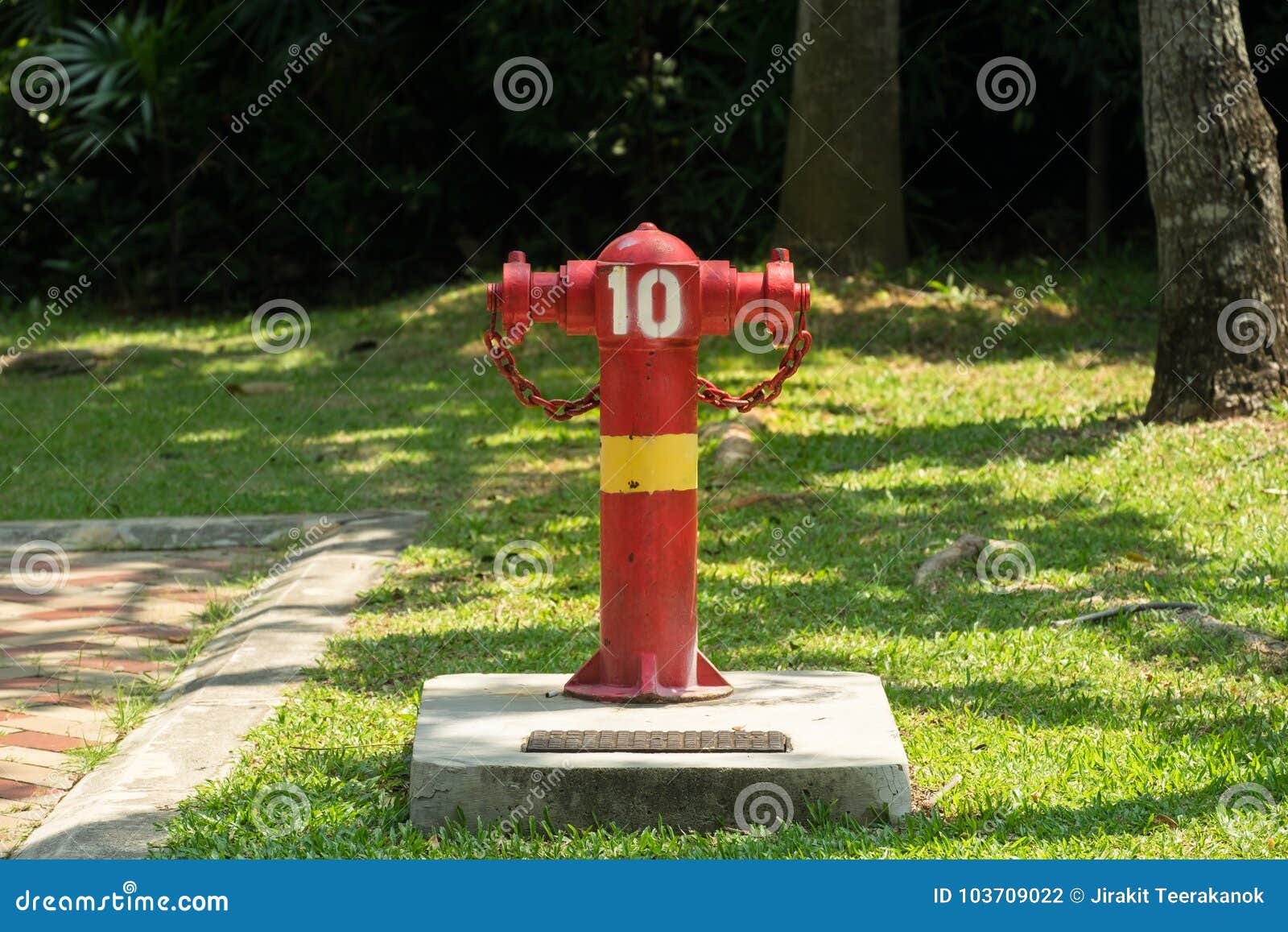 Red and Yellow Fire Hydrant in a Park on a Concrete. Stock Photo ...