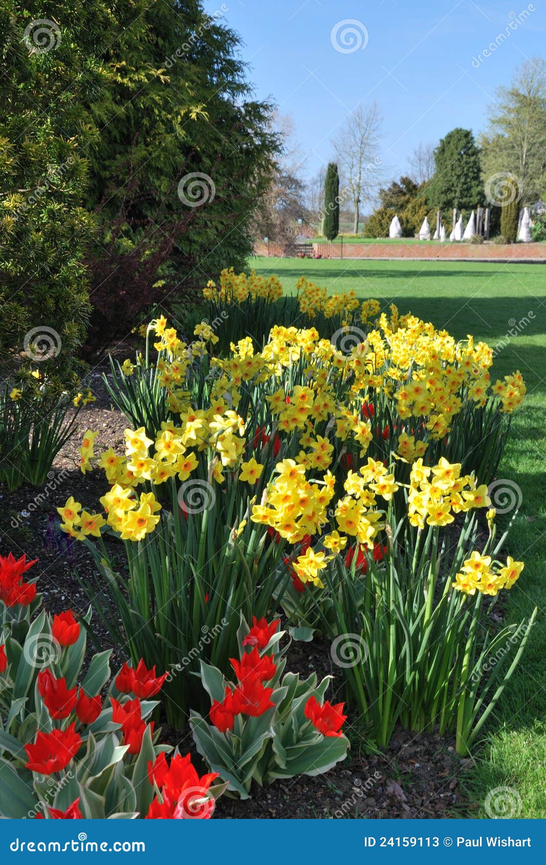 Red and Yellow Flower Borders Stock Image - Image of colour, green ...