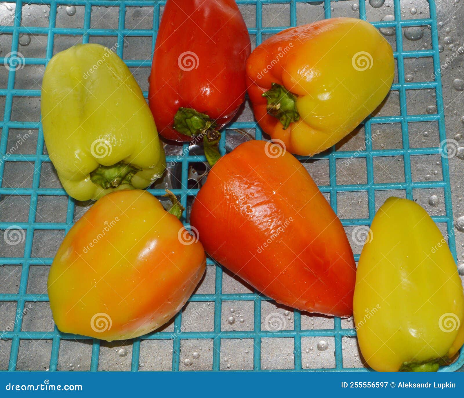 Red, Yellow and Green Bulgarian Pepper Stock Image - Image of house ...
