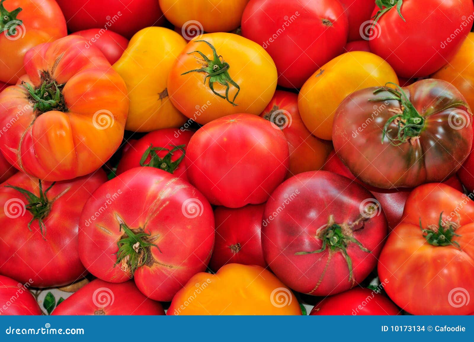 Red and Yellow Heirloom Tomatoes Stock Photo - Image of round ...