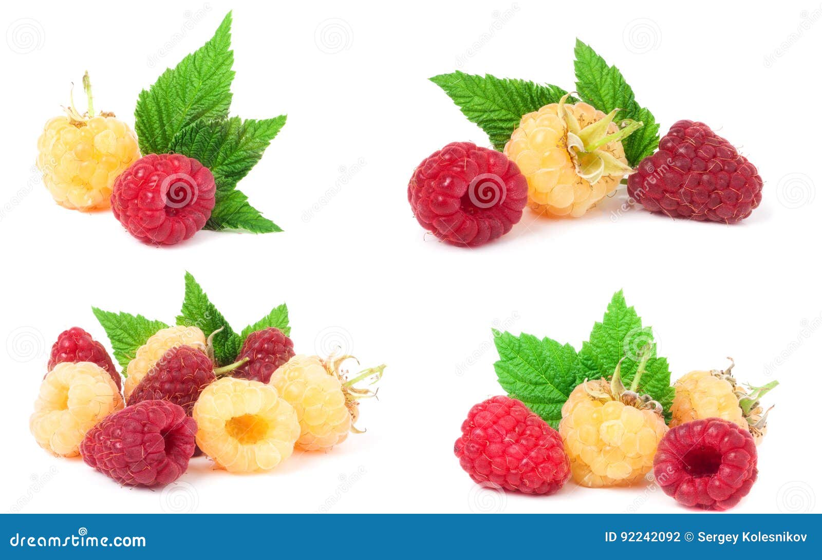 Red and Yellow Raspberries with Leaves Isolated on White Background ...