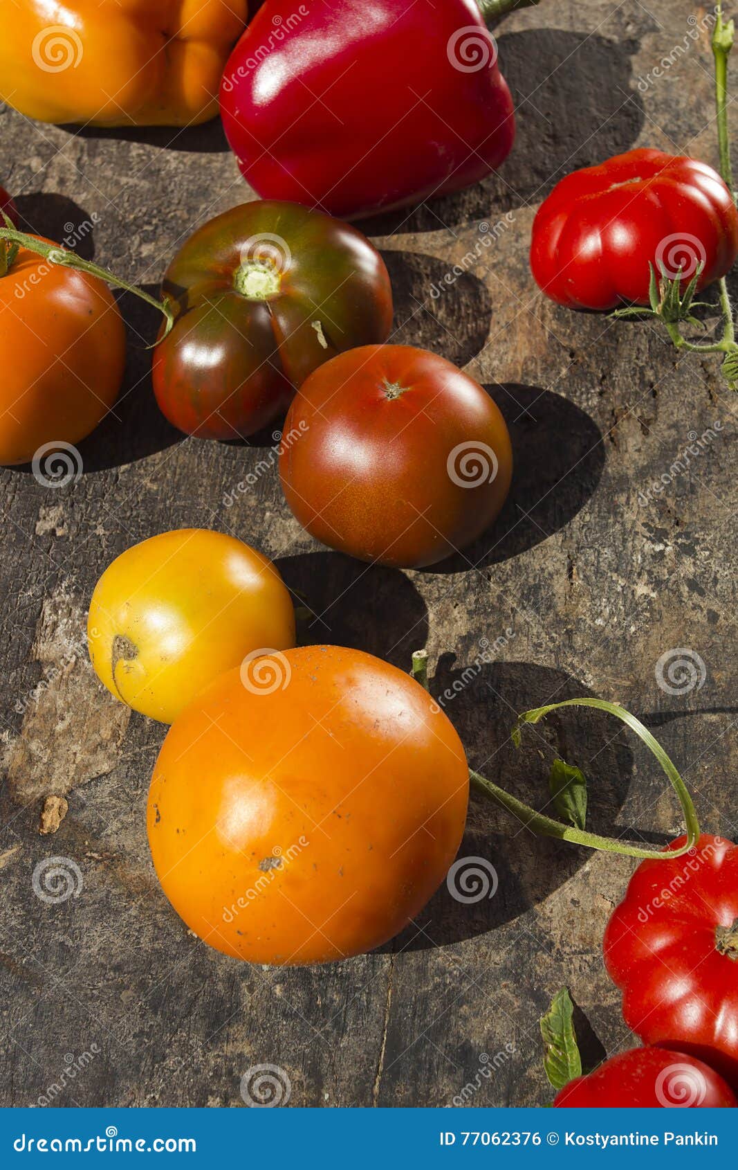 Red and Yellow Ripe Tomatoes Stock Photo - Image of piece, natural ...