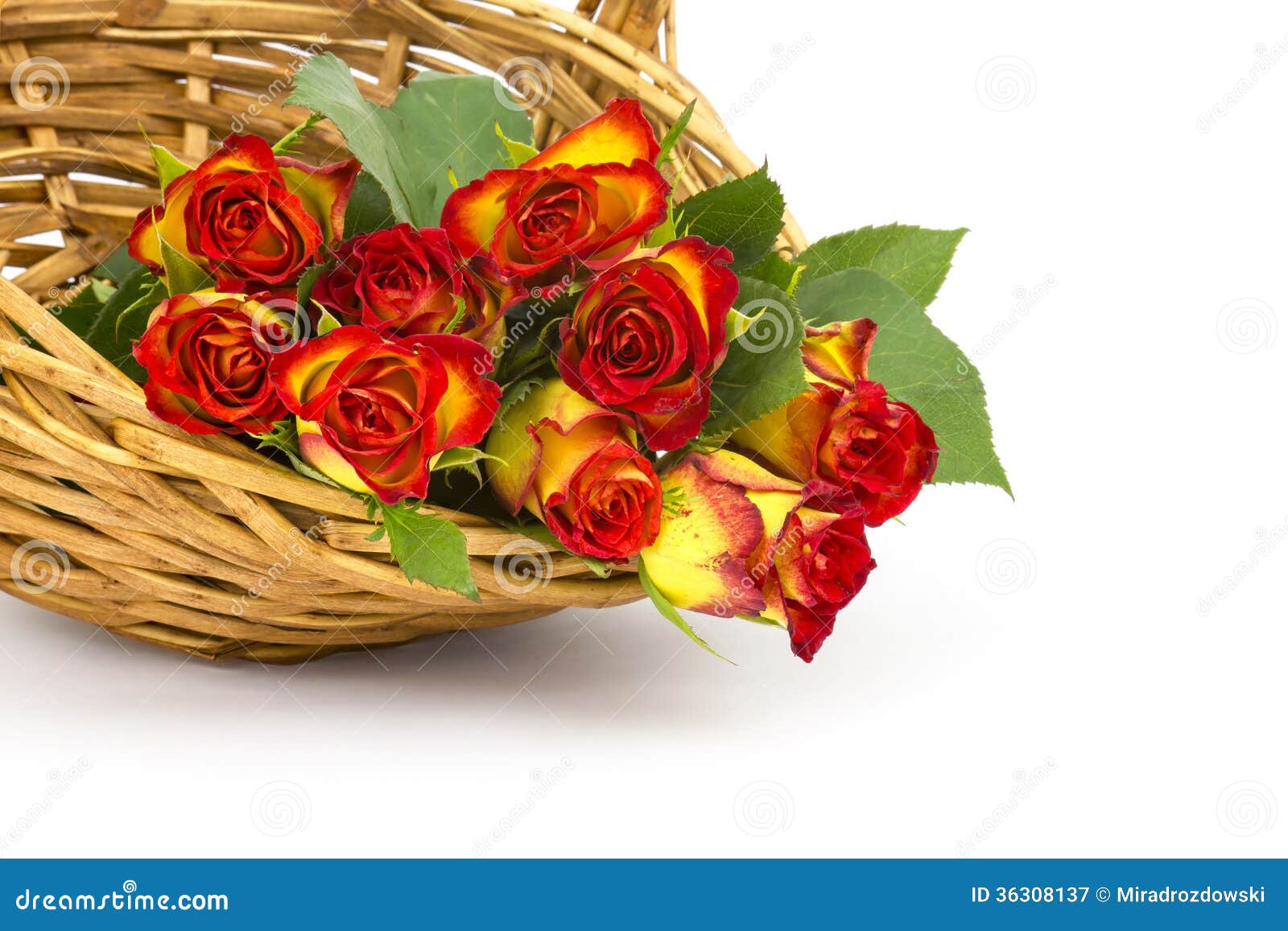 Red and yellow roses stock image. Image of flower, bunch - 36308137