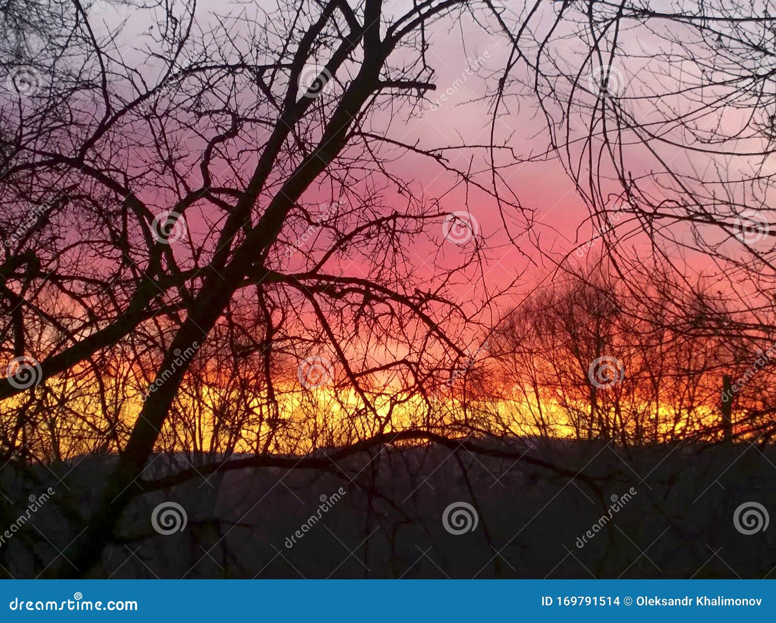 Red yellow sunset stock photo. Image of shadows, season - 169791514