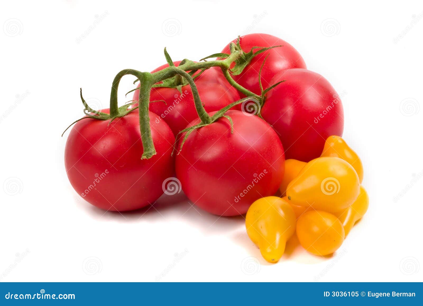Red and yellow tomatoes stock image. Image of grape, vine - 3036105