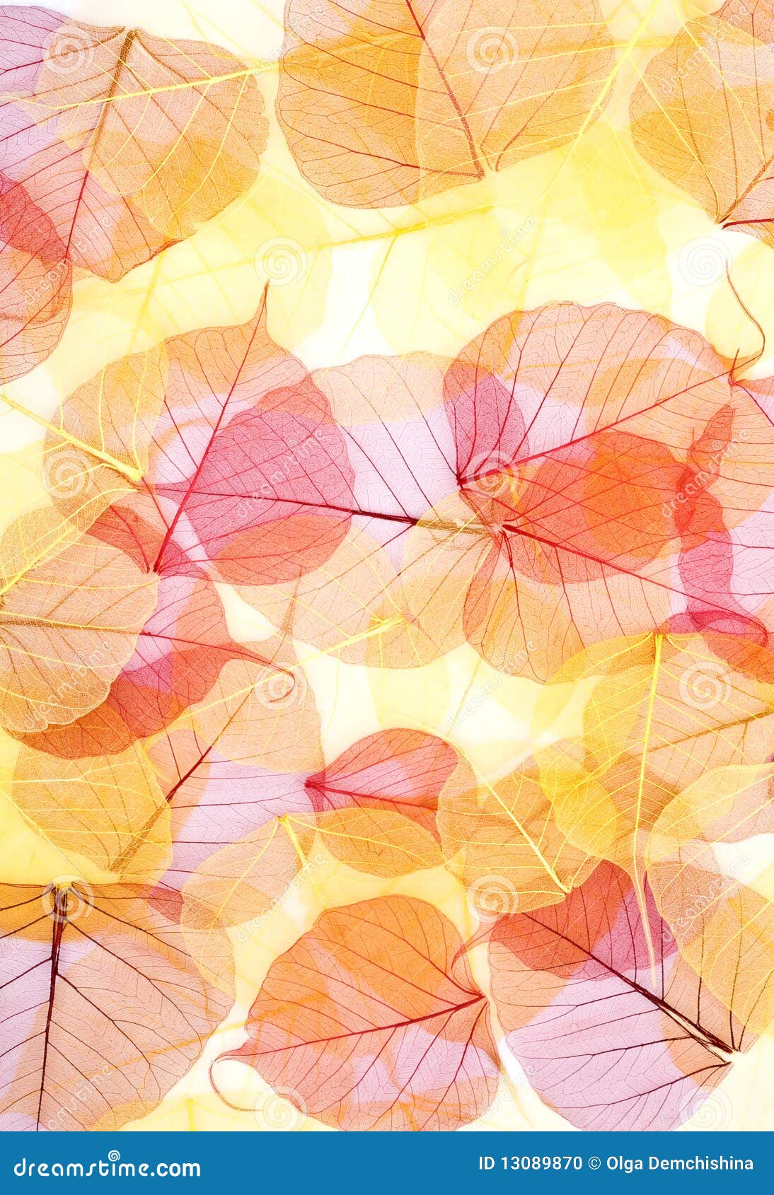 Transparent Leaves Background Royalty-Free Stock Photo | CartoonDealer ...